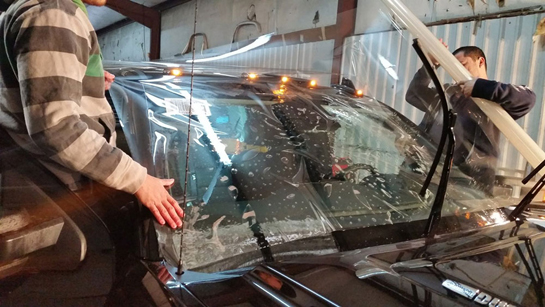 Clear Bra Clear Shield - Hurricaneauto